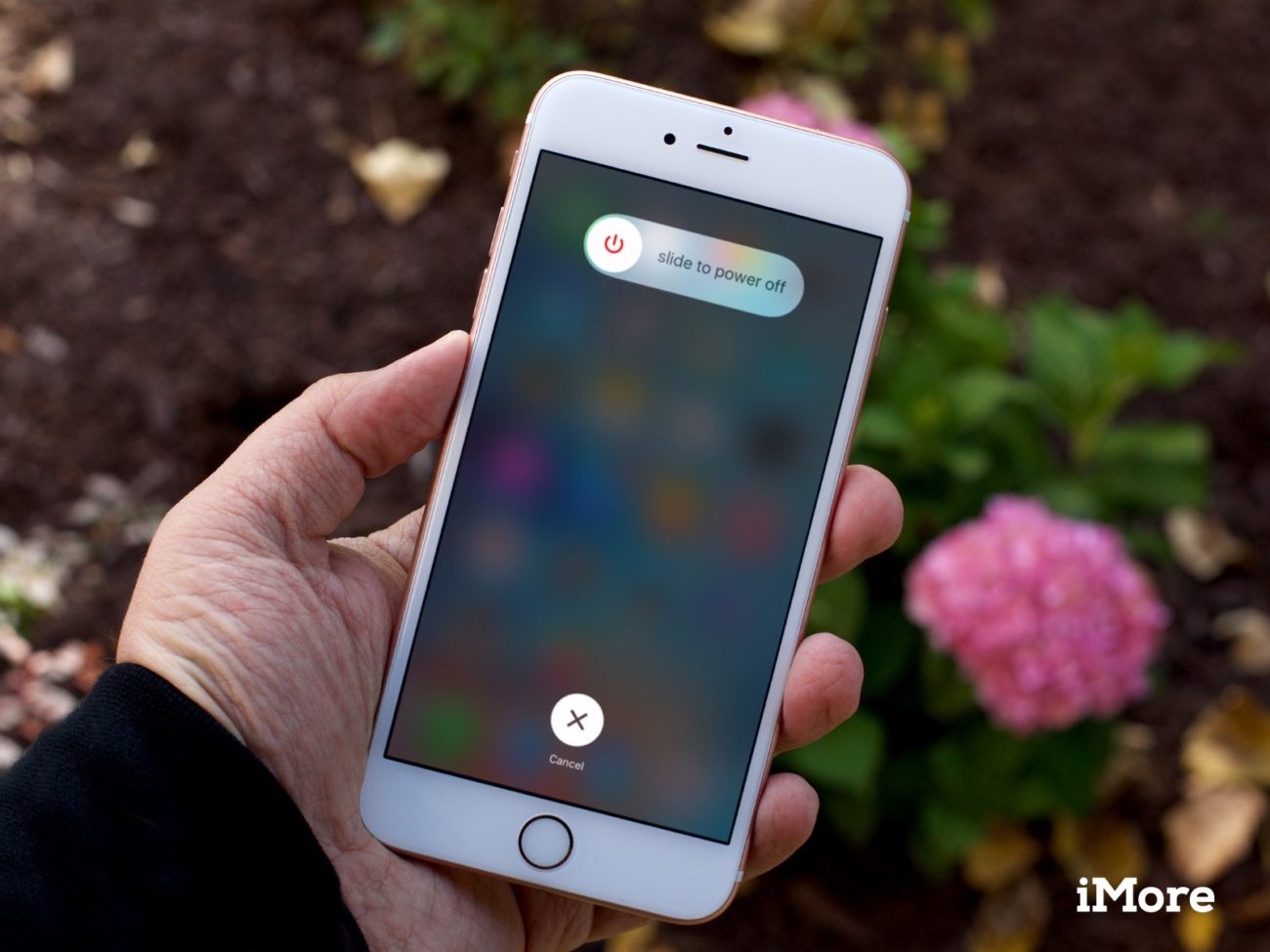 iPhone Troubleshooting – Ways to Fix Complicated Problems! – Altitude ...